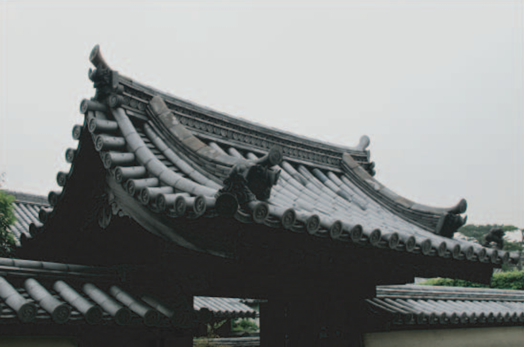 Ehsan Adibian | John Lum Architecture